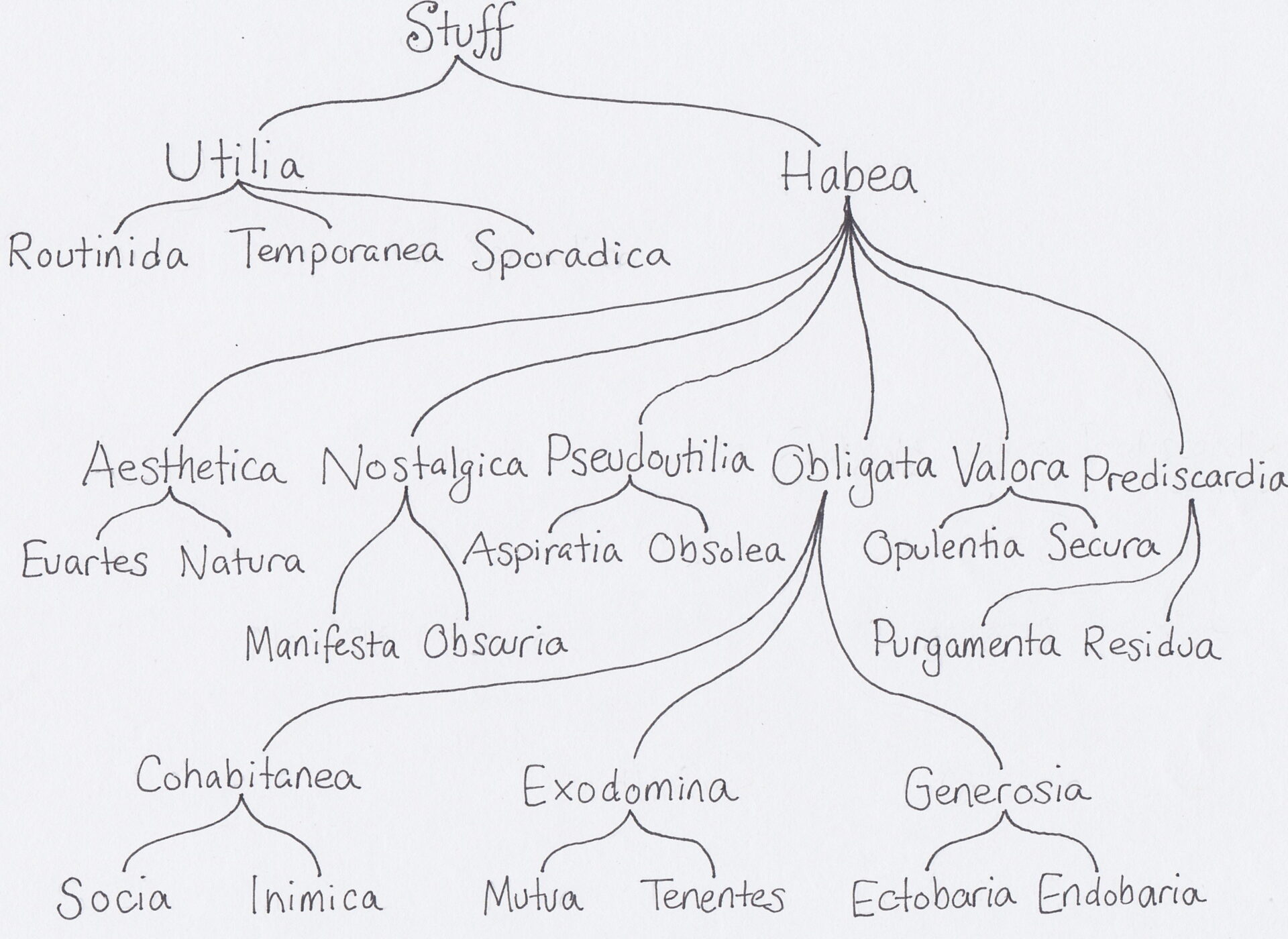 A taxonomy of things – Lorem Ipsum